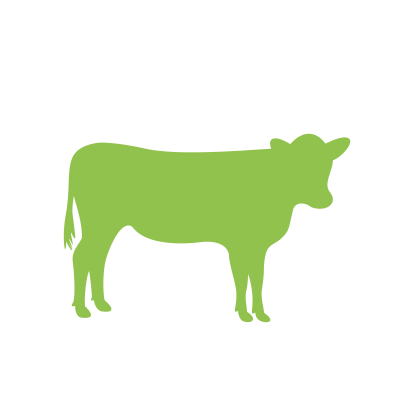 MK Fleisch | Beef meat